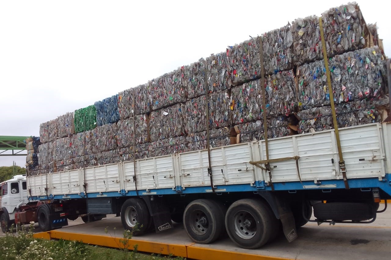 San Luis reinsertó a la economía circular más de 33 mil kilos de cartón ...
